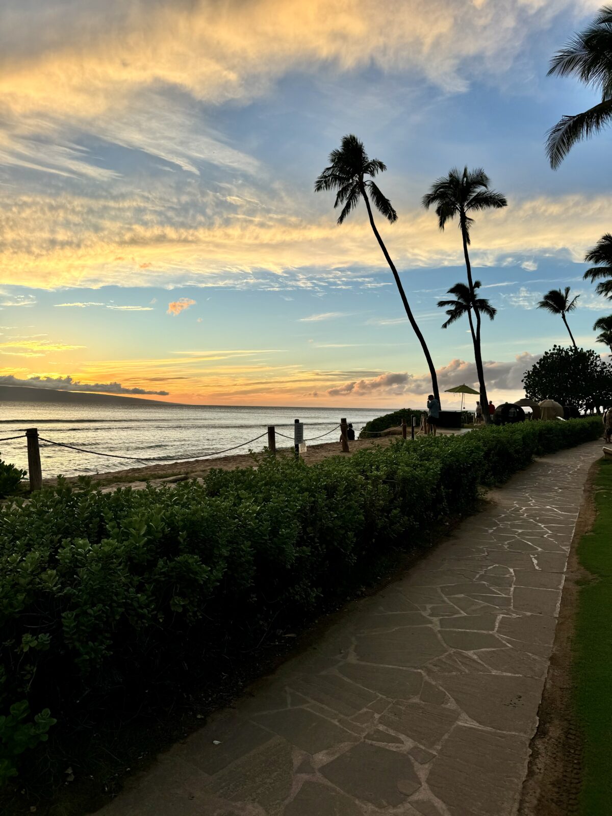 Current Points and Miles Transfer Bonuses for June 2026! - Melissa's ...
